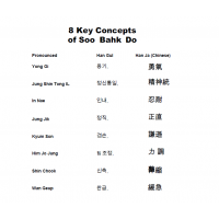 Eight Key Concepts of Soo Bahk Do